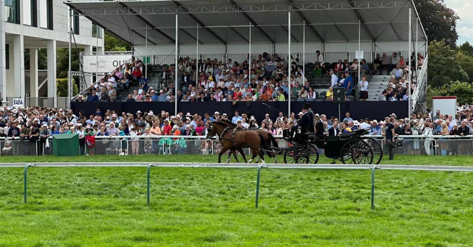 Centrum Waregem loopt vol voor grootste paardenkoers van het land: 35. ...