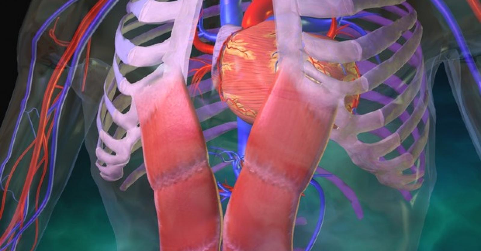 Hart-longmachine - Plus Magazine