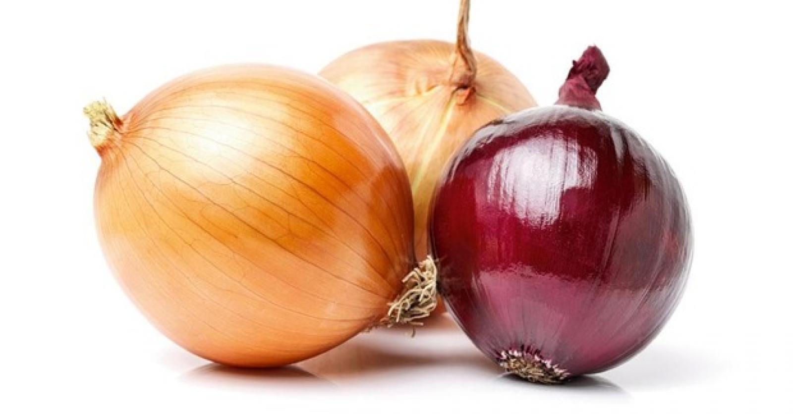 Occupetoi de tes oignons ! - Plus Magazine