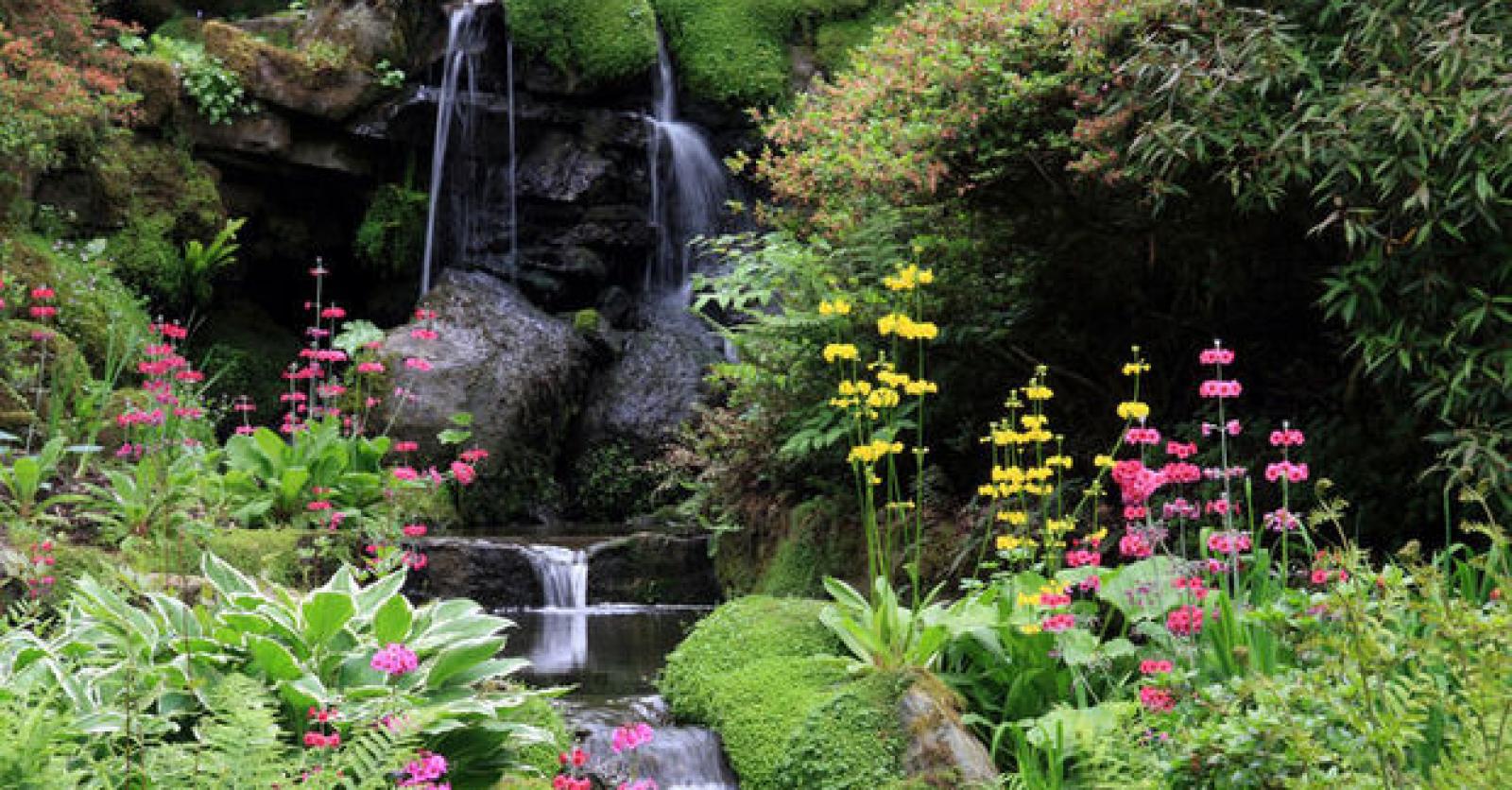 10 Britse tuinen die zich in de lente van hun mooiste kant tonen - Plus ...