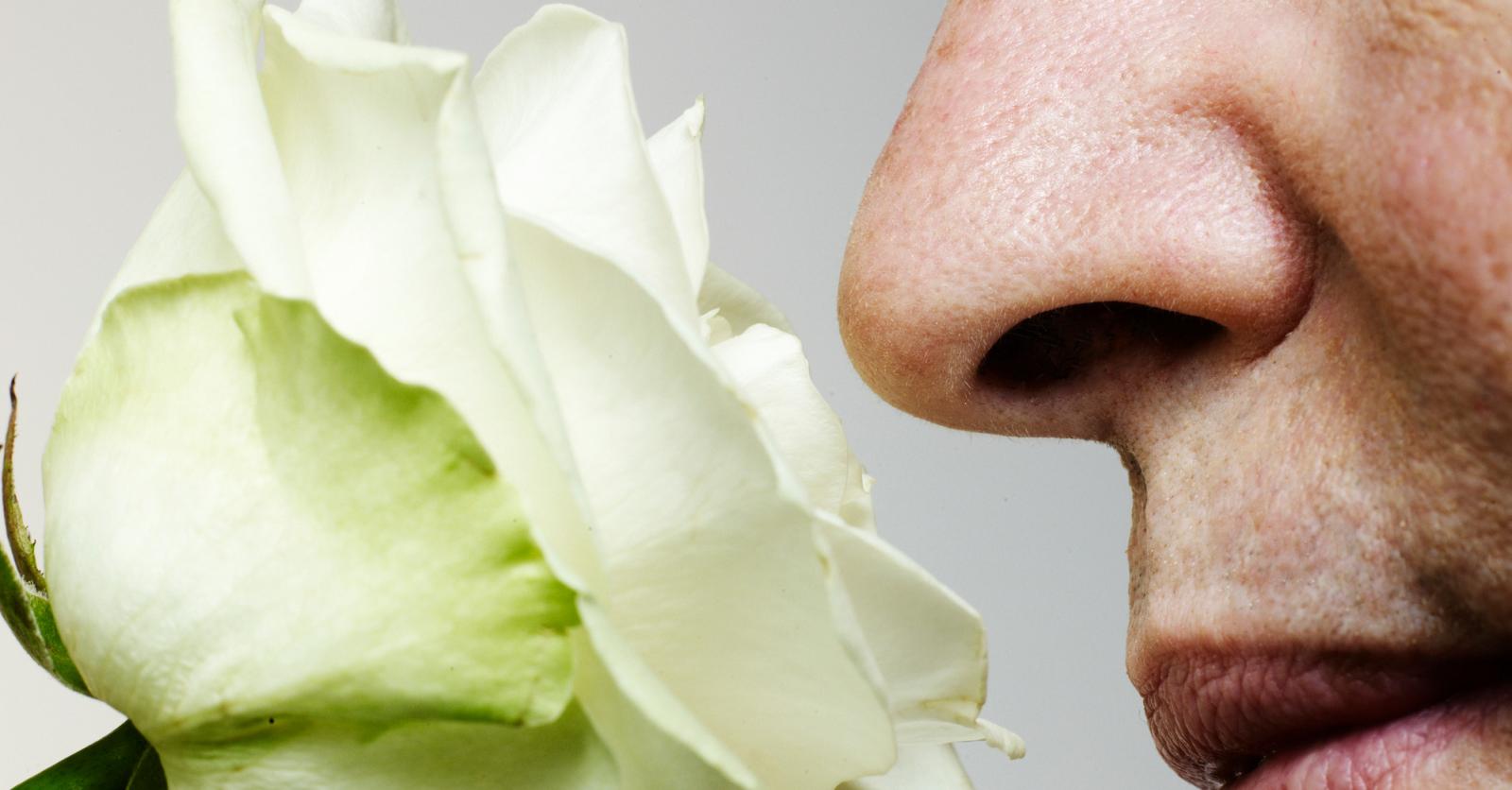 Comment fonctionne notre odorat - Plus Magazine