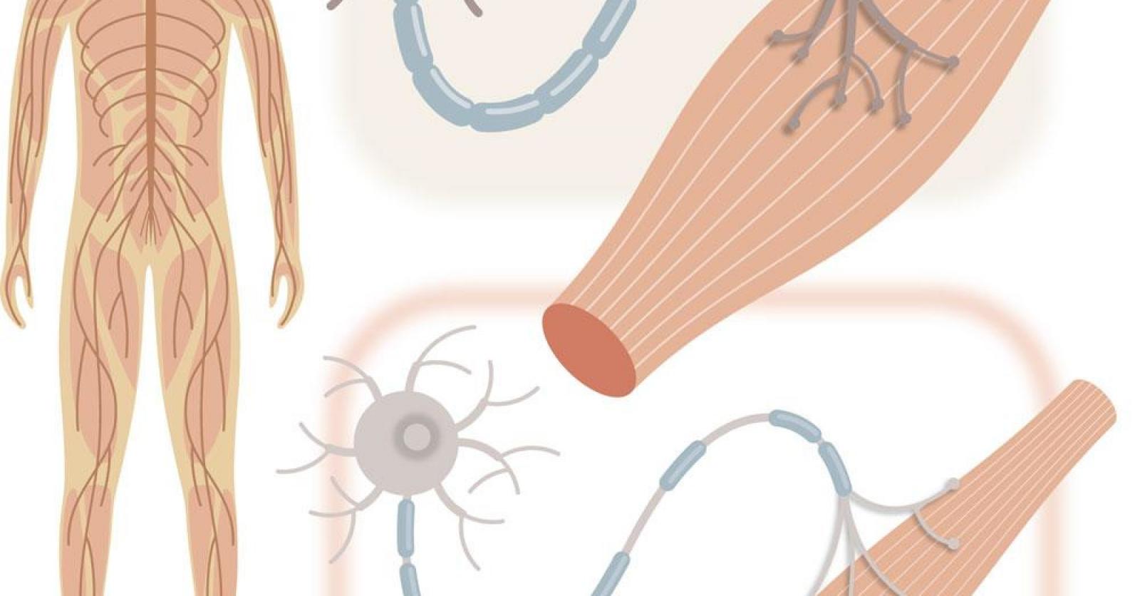 Wat ALS? - Plus Magazine