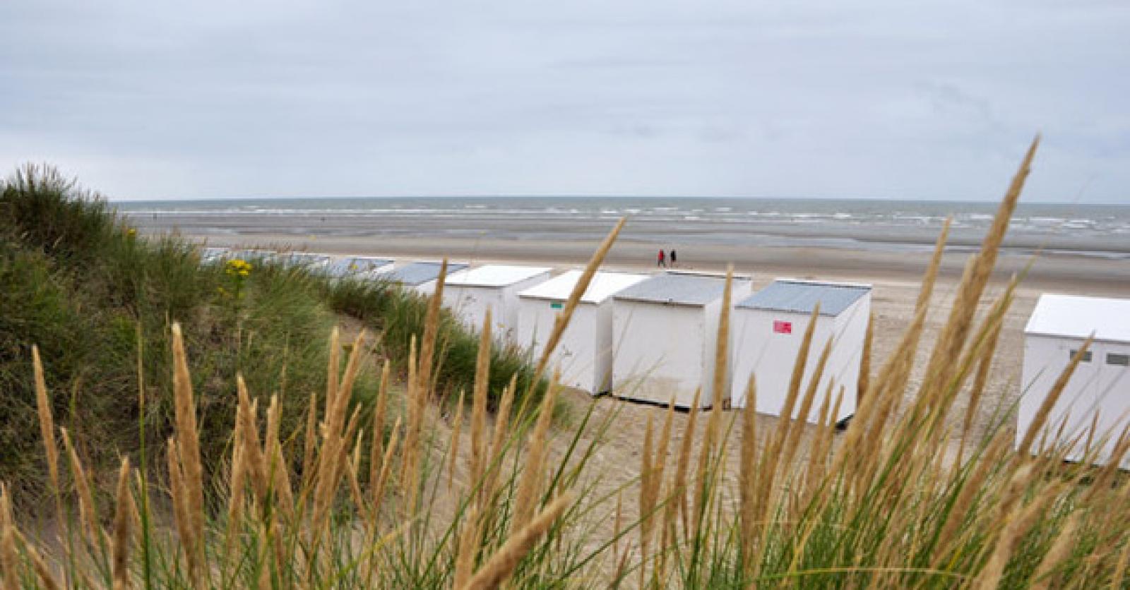 Koksijde, veel meer dan alleen maar strand - Plus Magazine