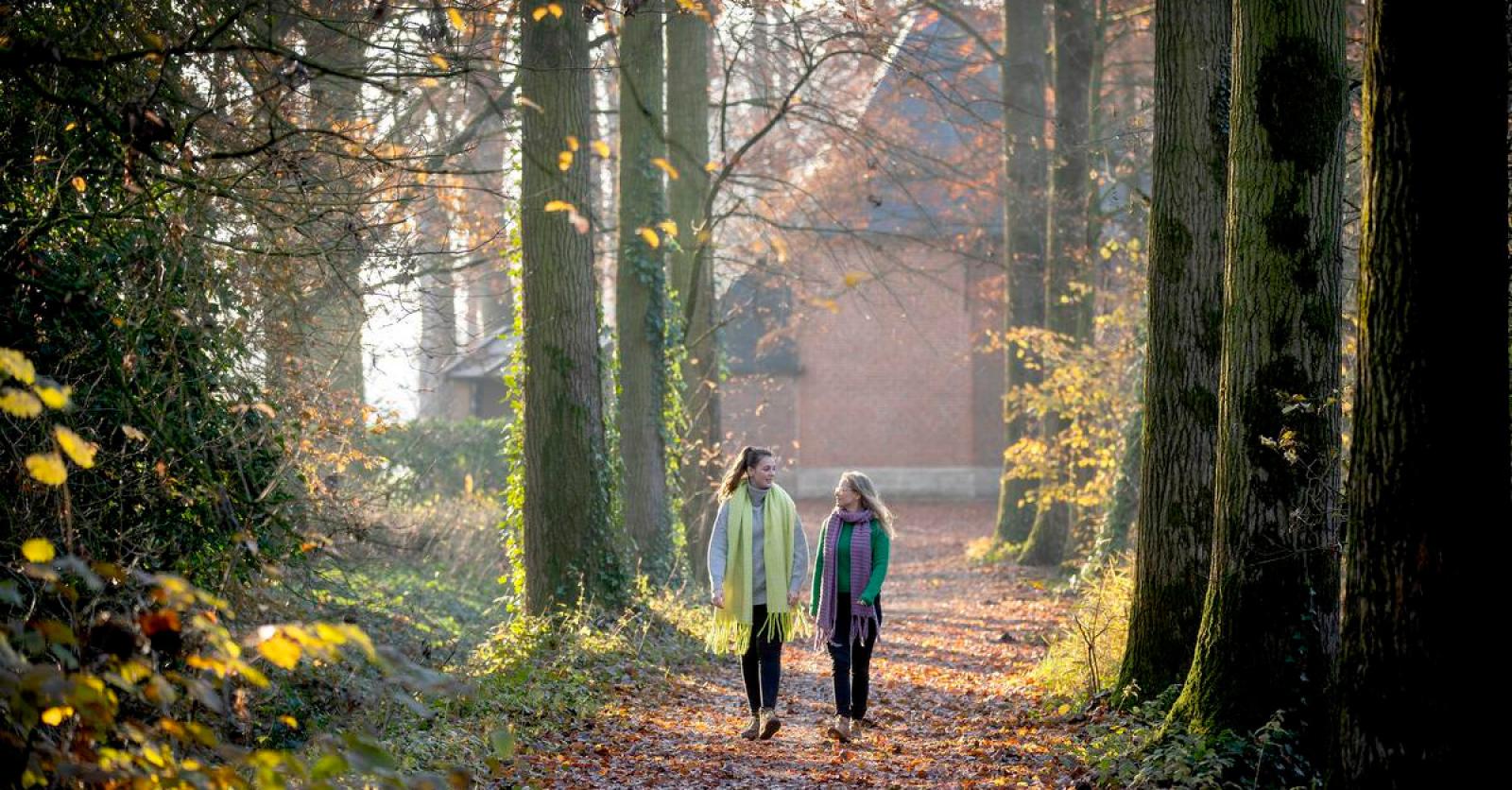Wandelen in het Waasland - Plus Magazine