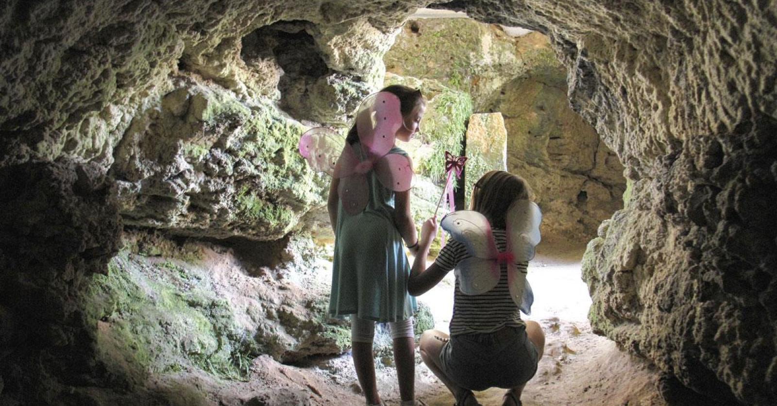 Op zoek naar de goede fee - Plus Magazine