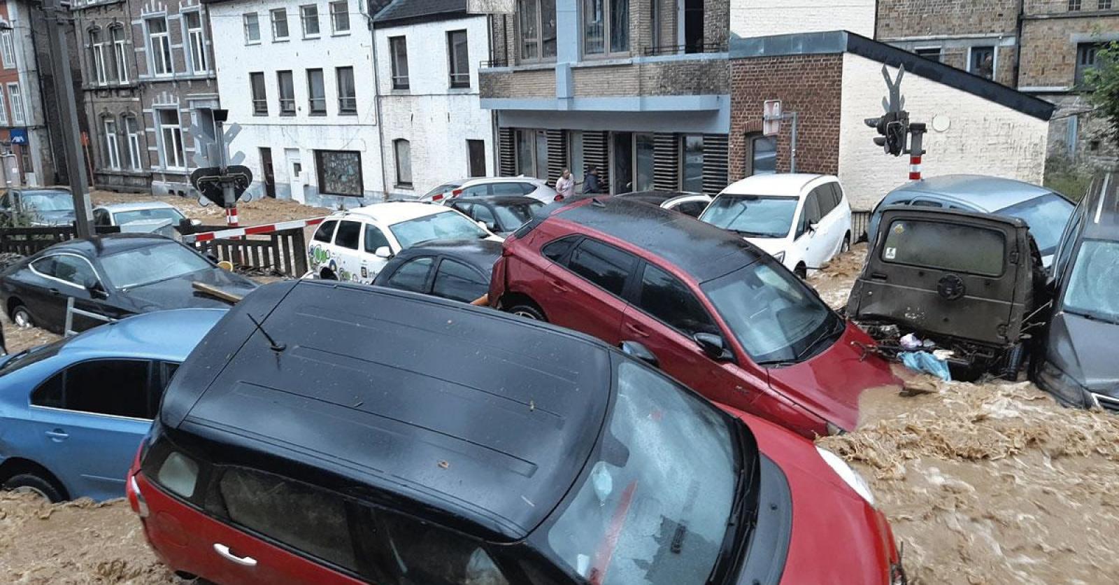 Wie dekt wat bij een natuurramp? - Plus Magazine