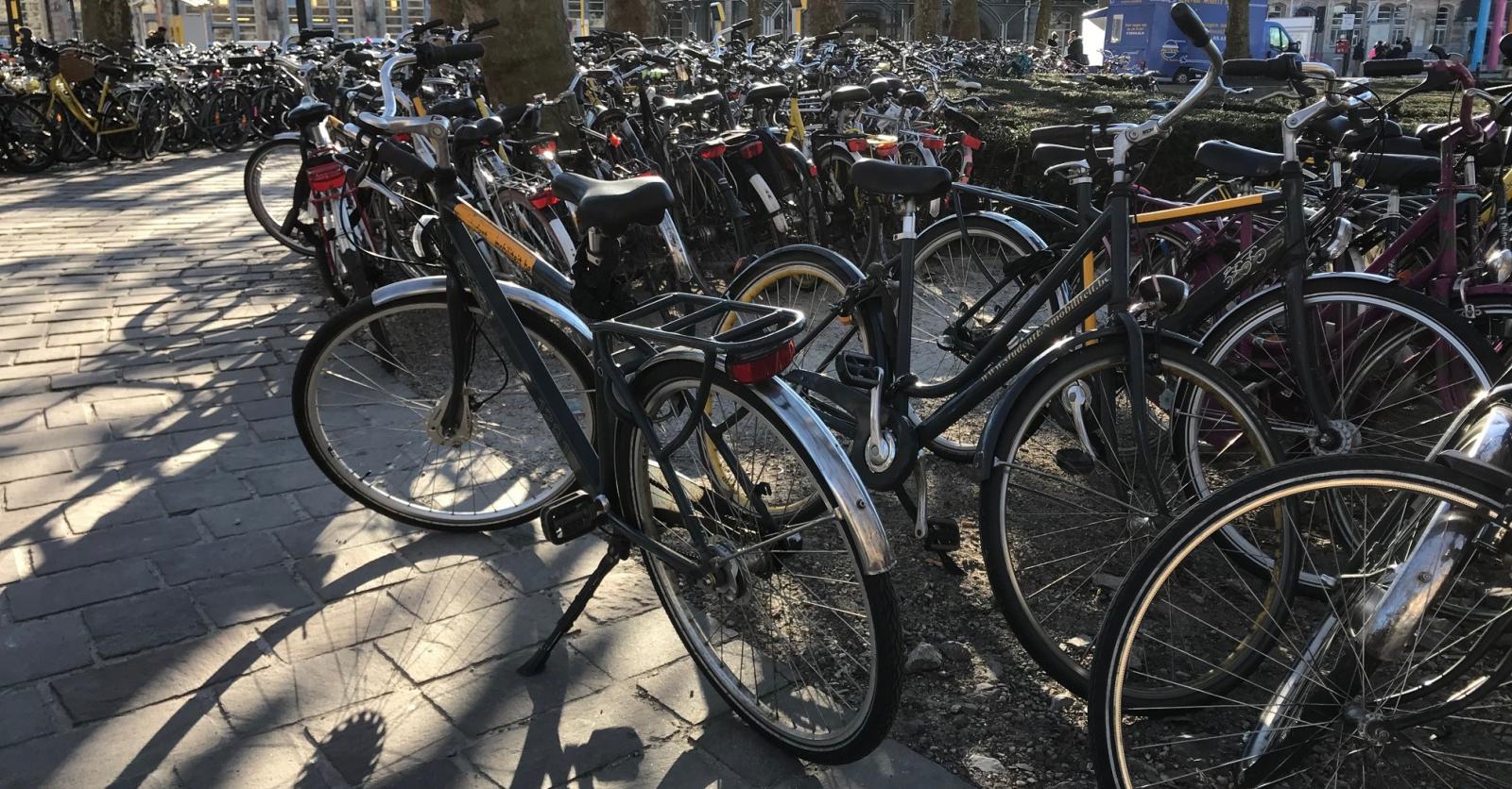 Un employeur sur cinq propose un vélo en leasing