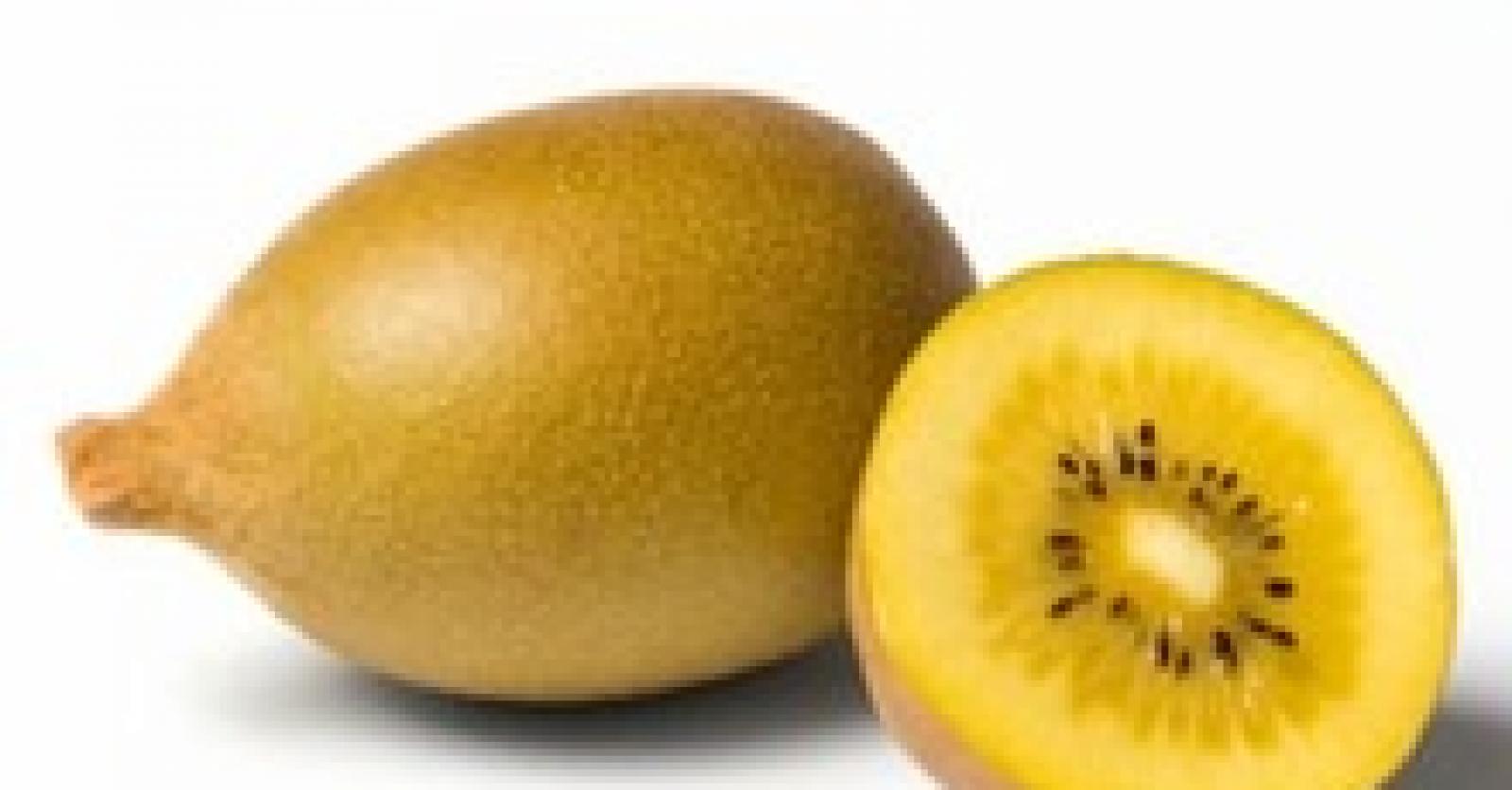 Leve de gele kiwi! - Plus Magazine