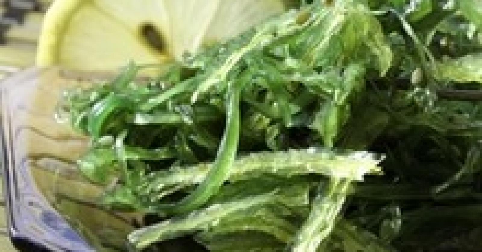 Algen: gezonde groenten uit de zee - Plus Magazine