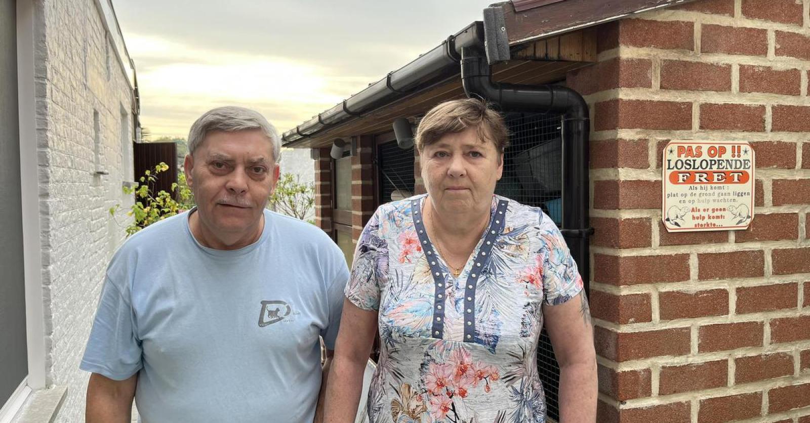 Dierenopvangtehuis in Menen sluit vanaf november de deuren: “Iets ...