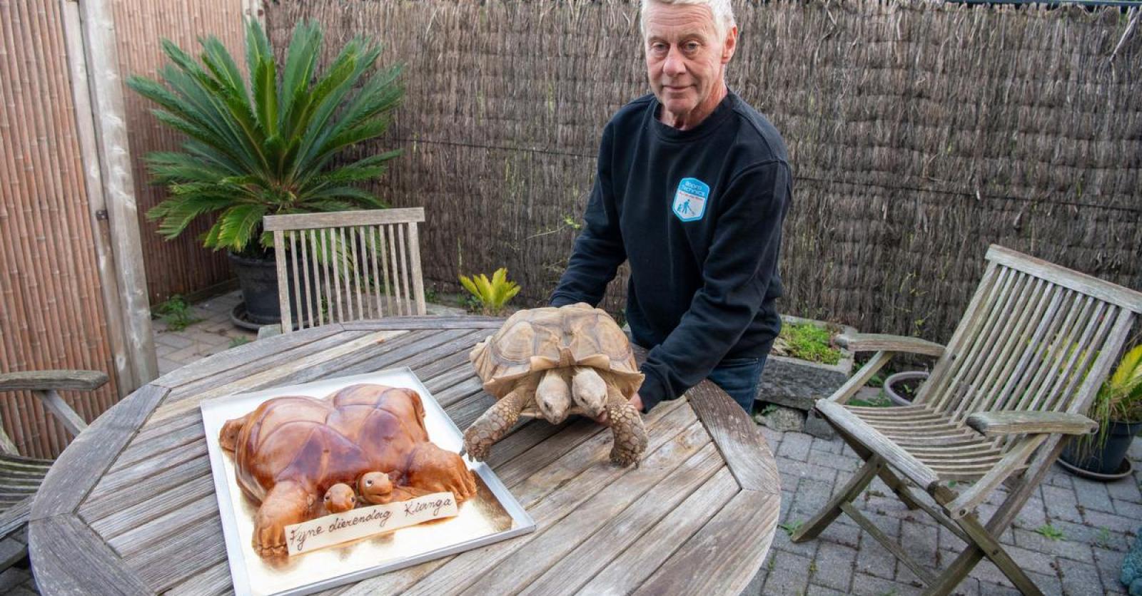 KIJK - Tweekoppige schildpad Kianga krijgt lekkere taart op Werelddierendag - KW.be