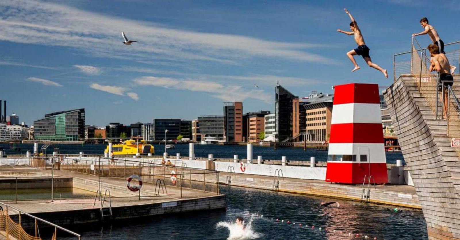 Comment Copenhague veut se transformer en "ville éponge"