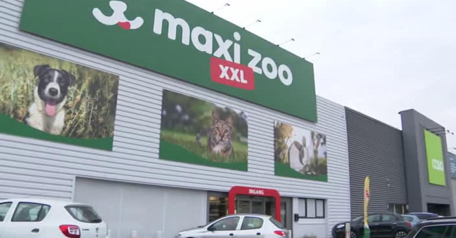 BEKIJK - Maxi Zoo gaat 30 nieuwe winkels openen - Trends