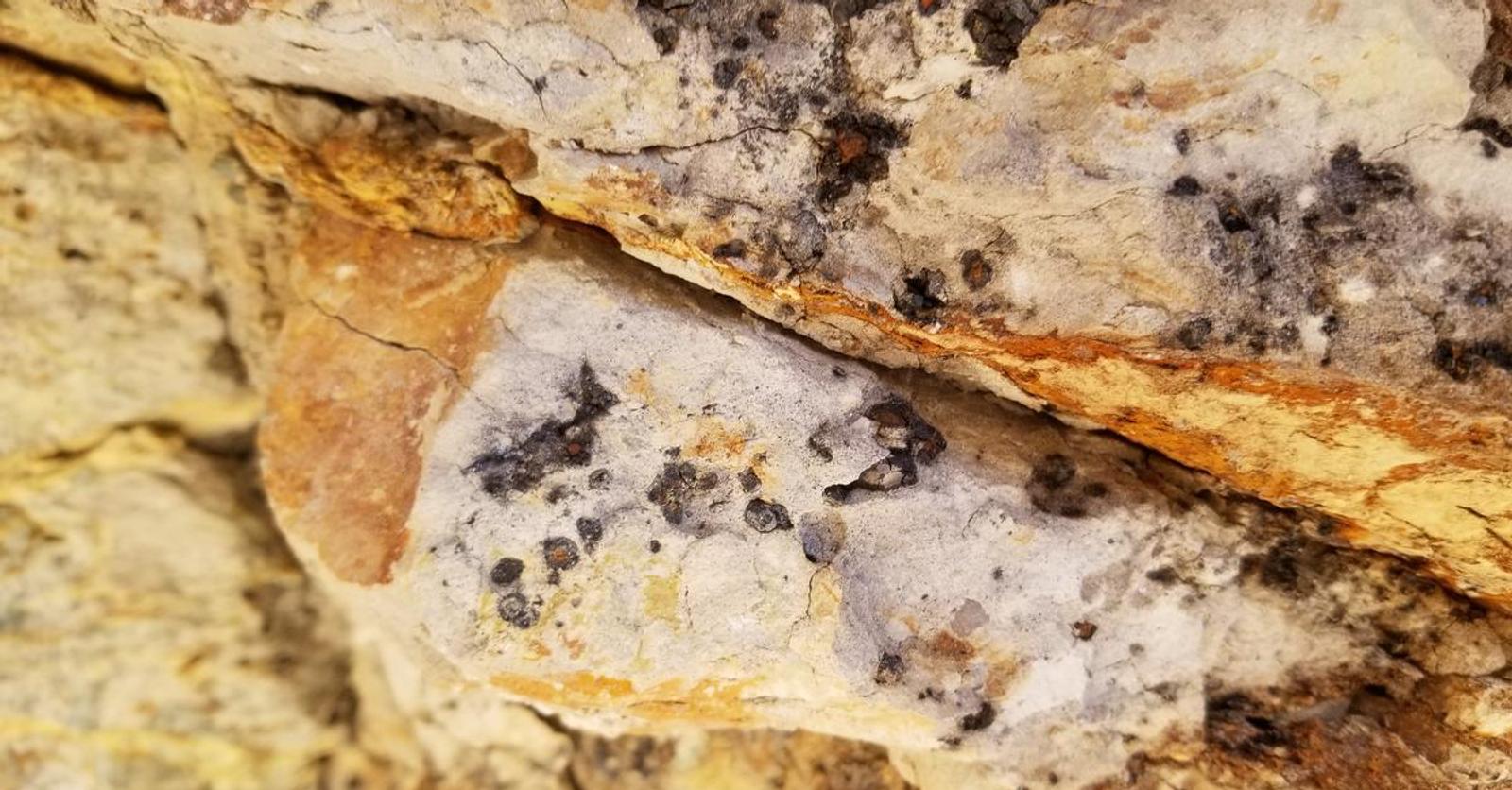 Sprott Physical Uranium Trust est très prometteuse - Trends-Tendances