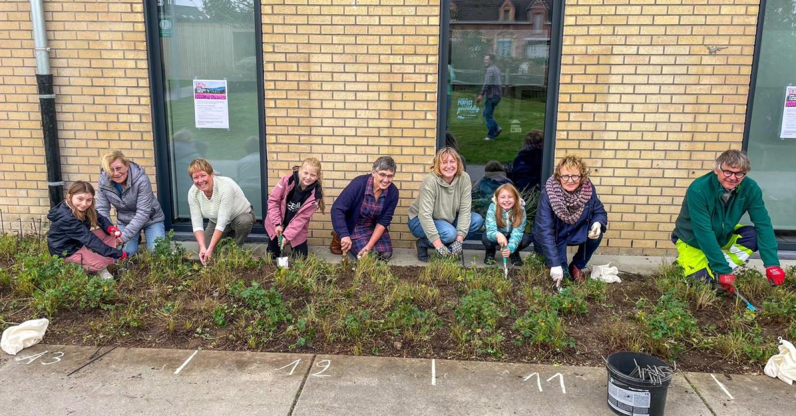 Paarse bloemen zullen in het voorjaar de Sceure en het gemeentehuis ...