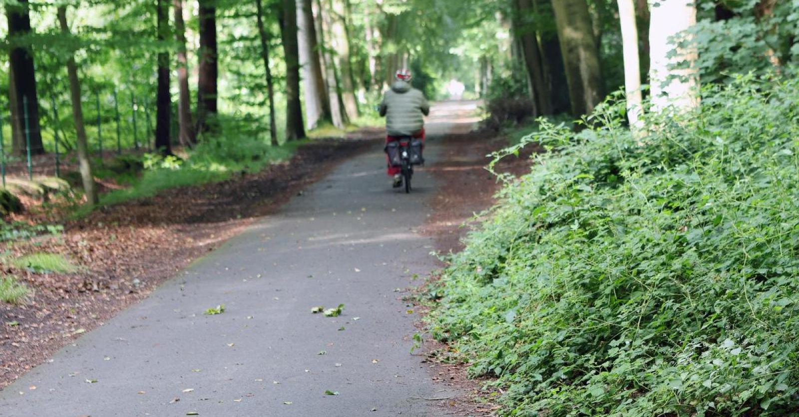 Bosbeheerplan Groenhove wordt omgezet naar natuurbeheerplan - KW.be