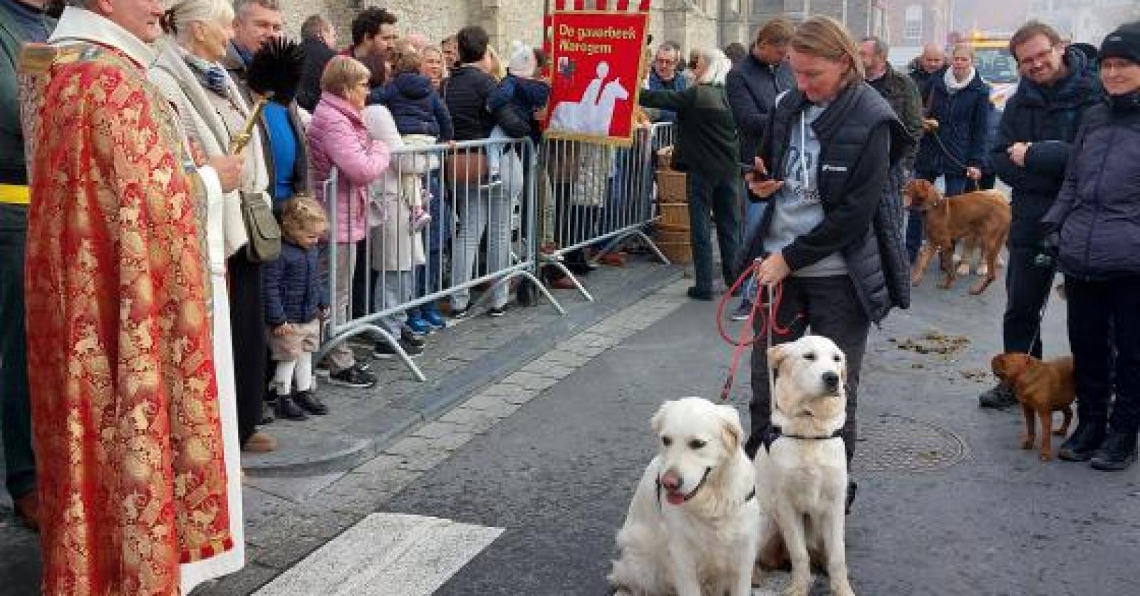 Dit weekend Sint-Hubertusviering en Te Deum - KW.be