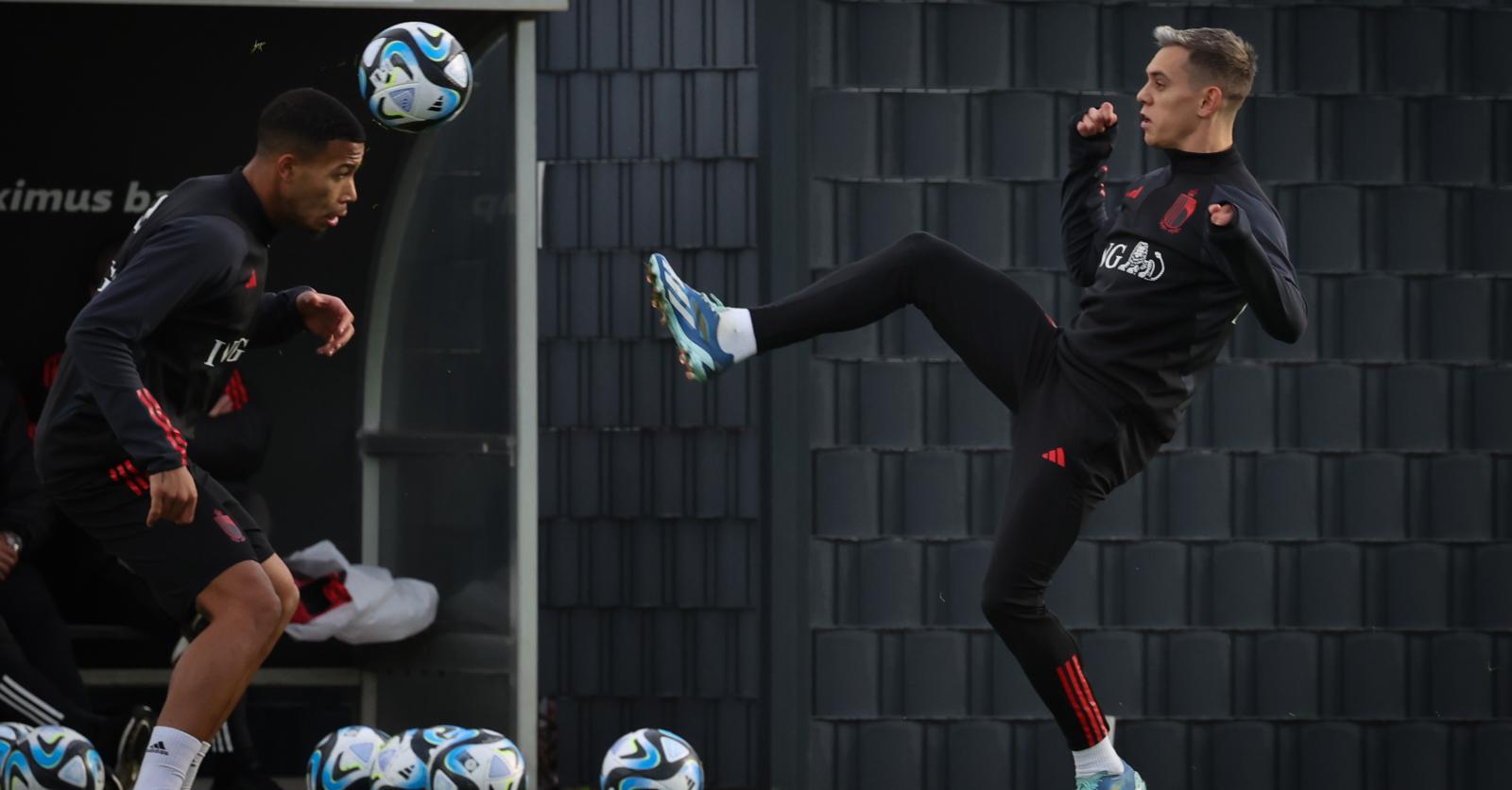 Diables Rouges: la pelouse du stade Roi Baudouin impraticable, Belgique ...