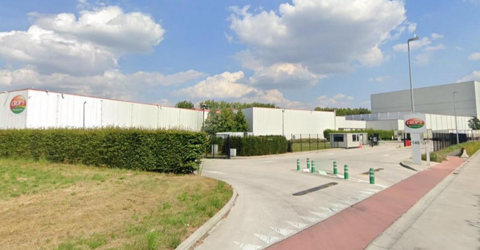 Eric Lauwers volgt Michel Delbaere op als CEO van Crop’s - KW.be