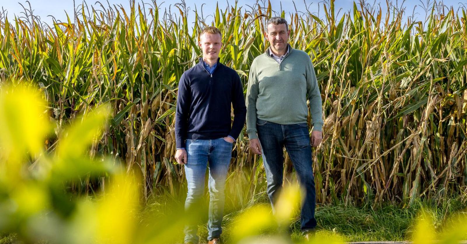 Aarsele viert haar dekens: “Deze traditie brengt mensen samen” - KW.be