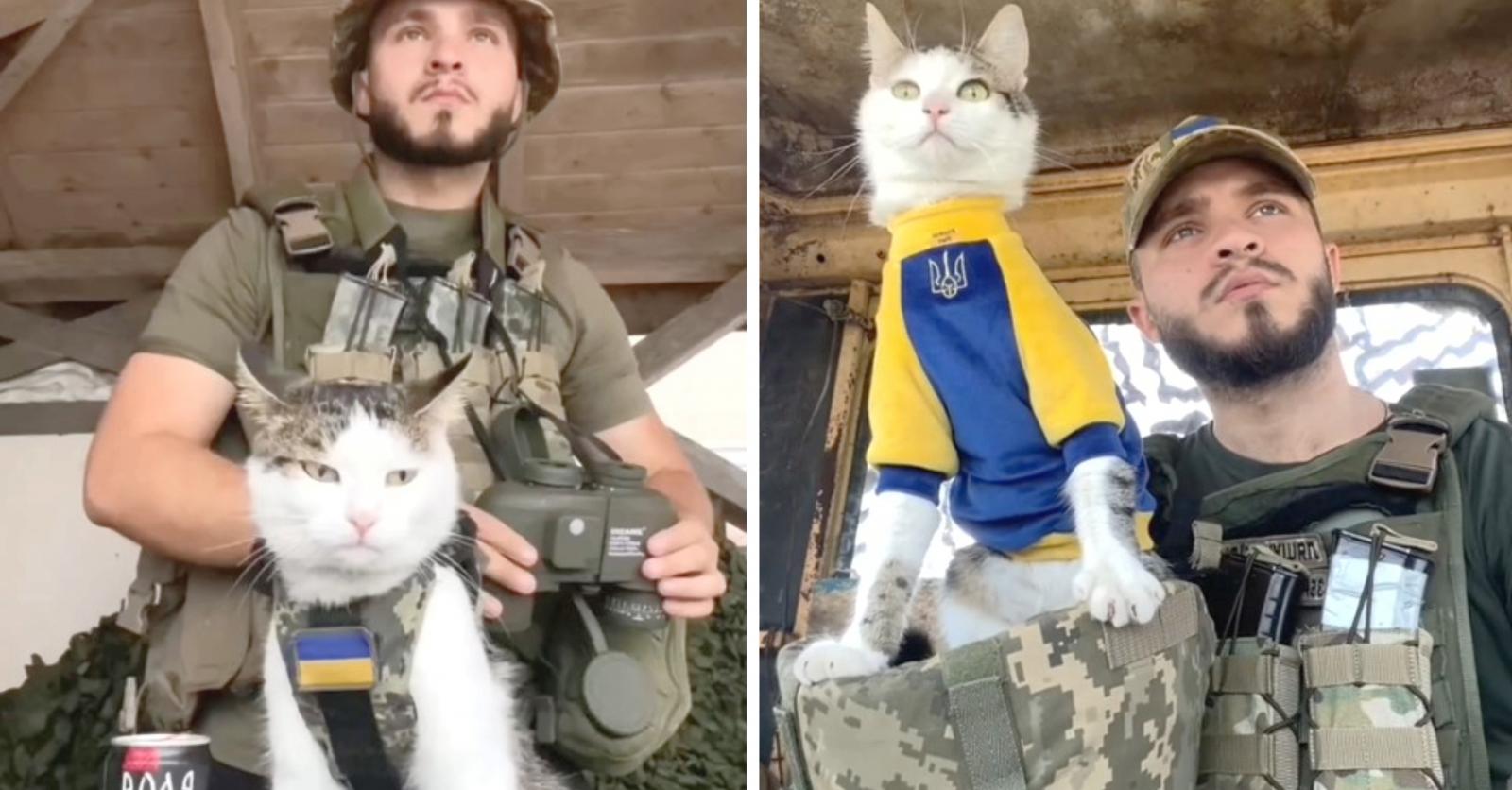 Puck, le chat soldat qui remonte le moral des troupes ukrainiennes