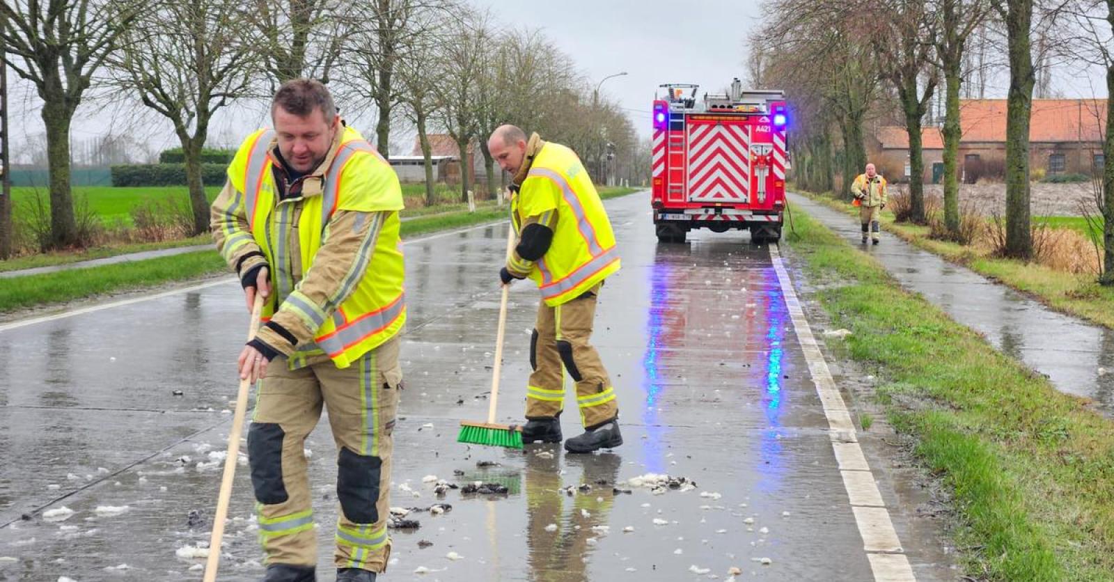 Brandweer rukt in Merkem uit voor hoop aarde op de weg... maar vindt enkel plukken wol - KW.be