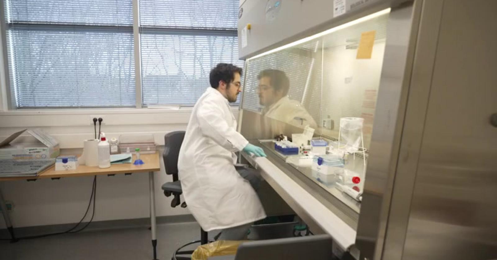 BEKIJK - ExeVir Bio hoopt nieuw COVID-middel volgend jaar op mensen te ...