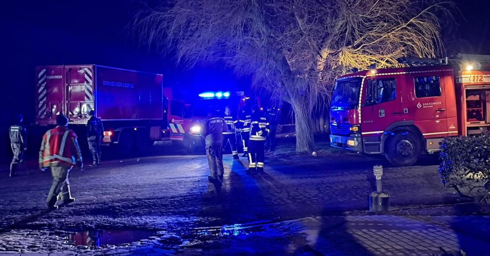 Brandweer uren in de weer om varkens uit mestput te redden in Alveringem: voor viertal komt hulp ...