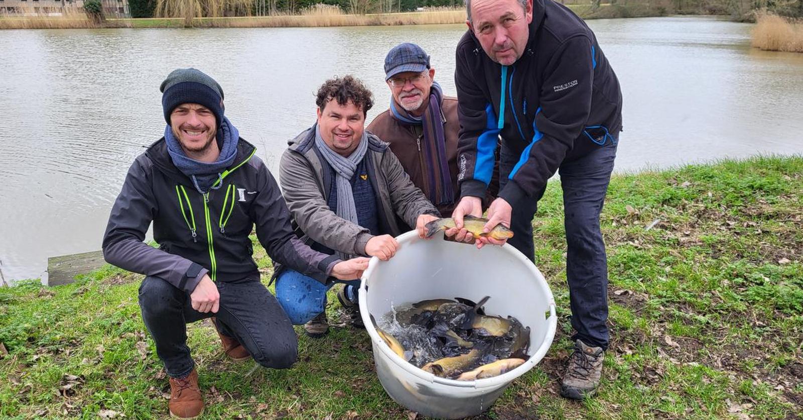 Stad Ieper zet 605 kilogram vis uit in de Vestingen - KW.be