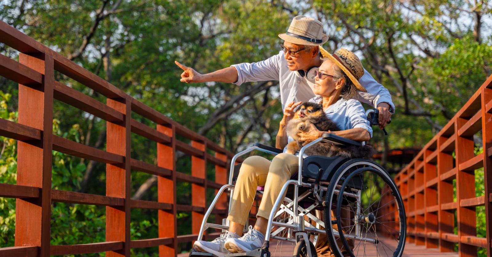 10x rolstoel- & buggyproof wandelen in de natuur - Libelle