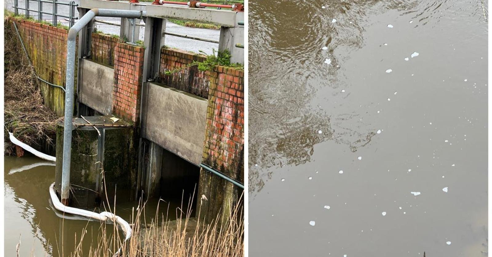 Opnieuw vervuiling in beken in Kortemark en Torhout: “Schuimvlokken van ...