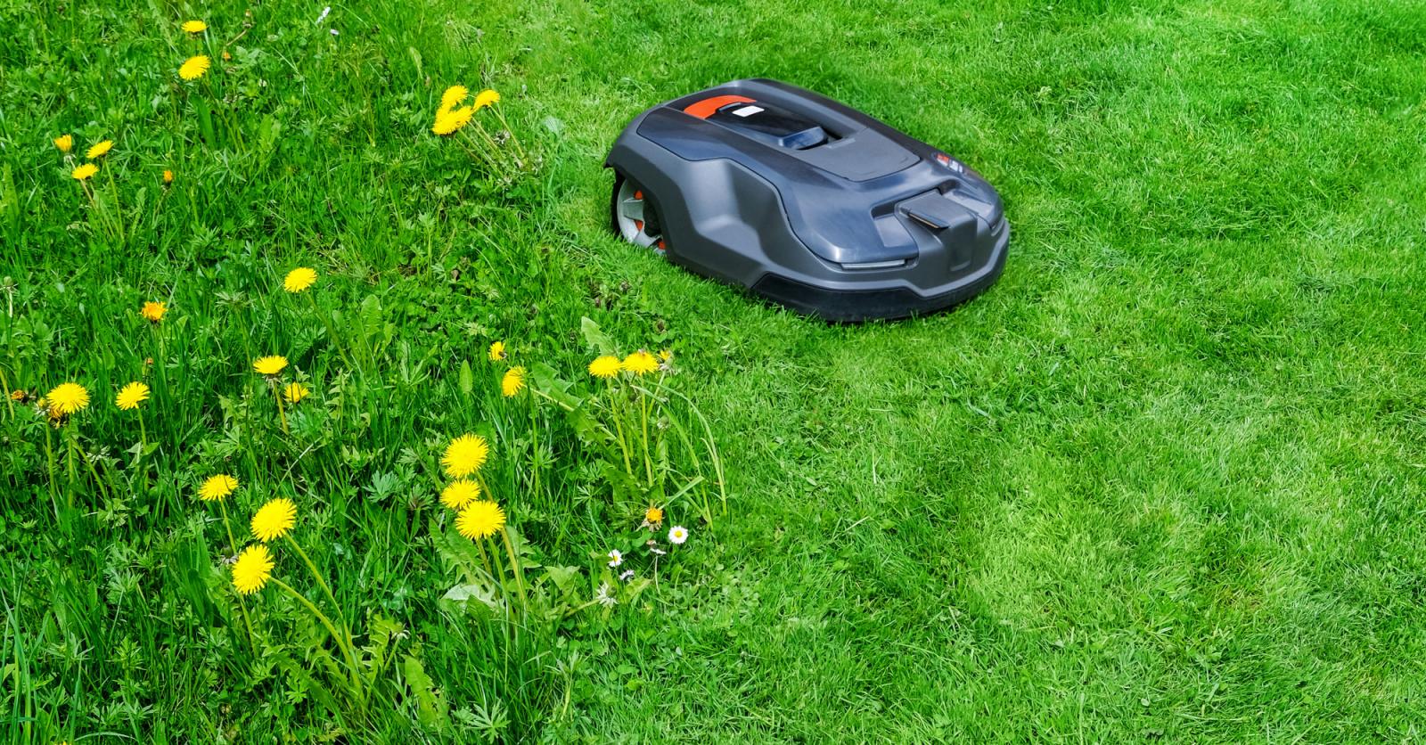 Robot tondeur : un bon investissement ? - Trends-Tendances