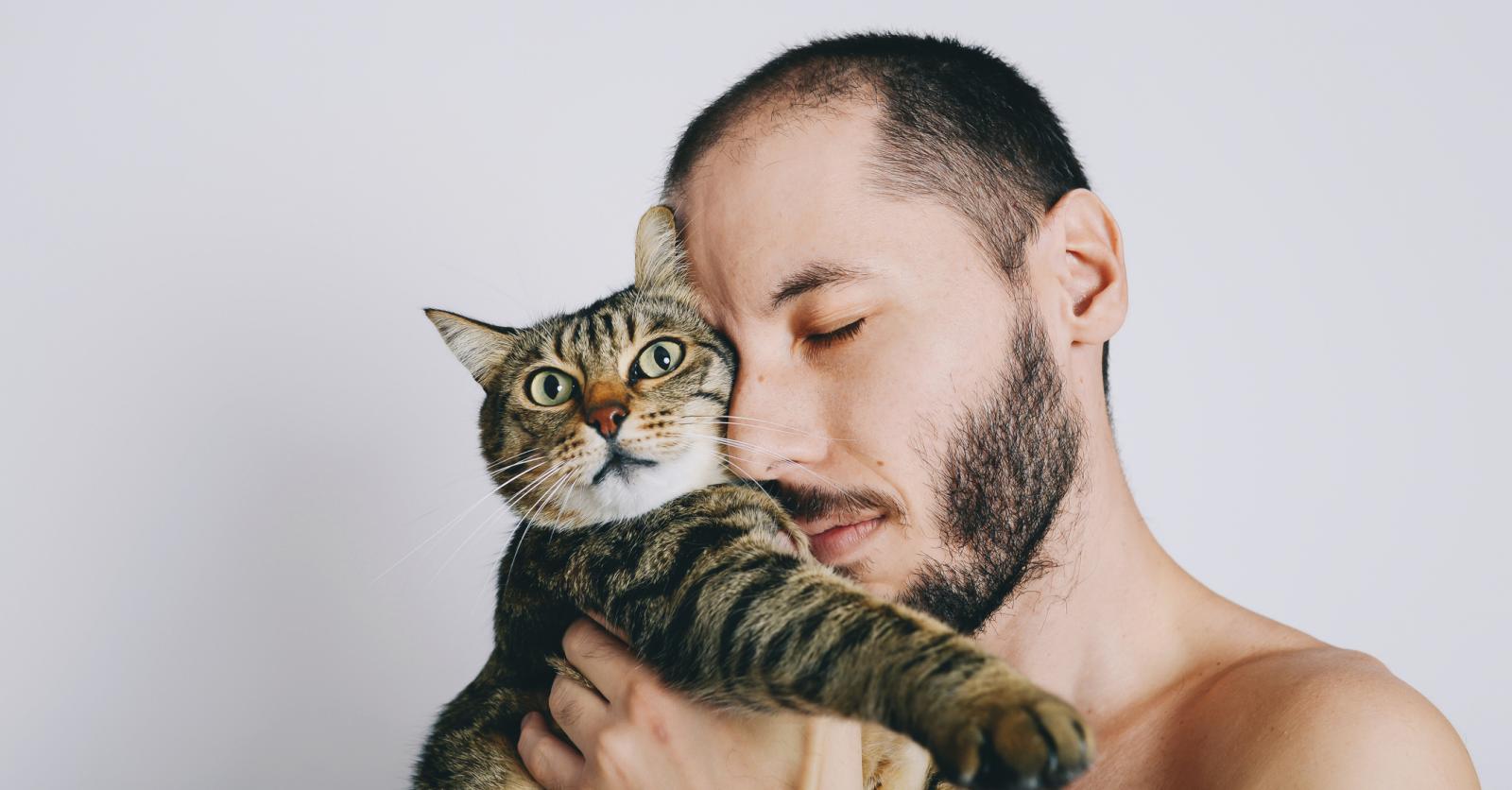 L'homme à chat, nouvel idéal masculin ou misanthrope déprimé?