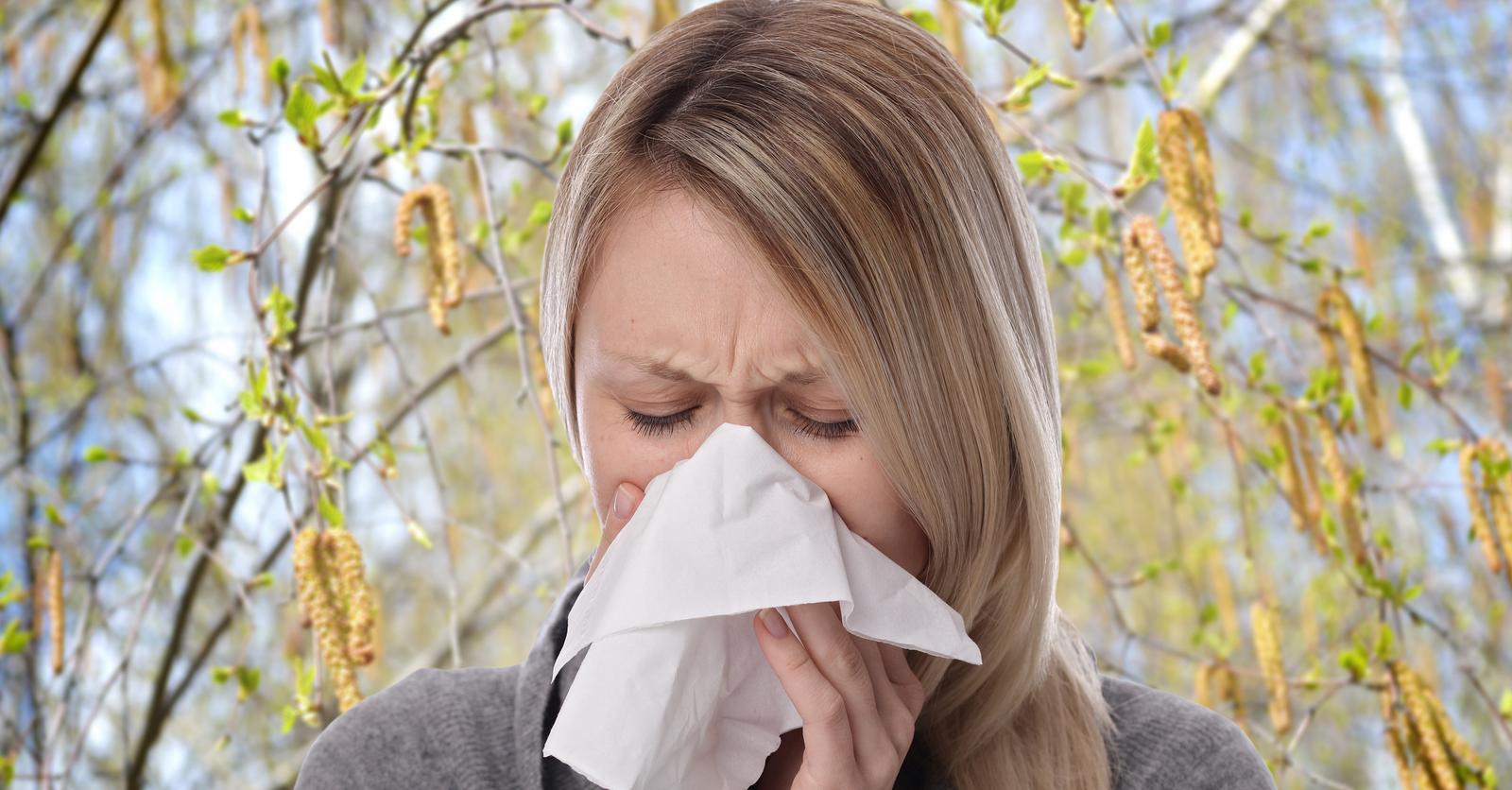 A quoi êtes-vous allergiques? Suivez le calendrier des pollens