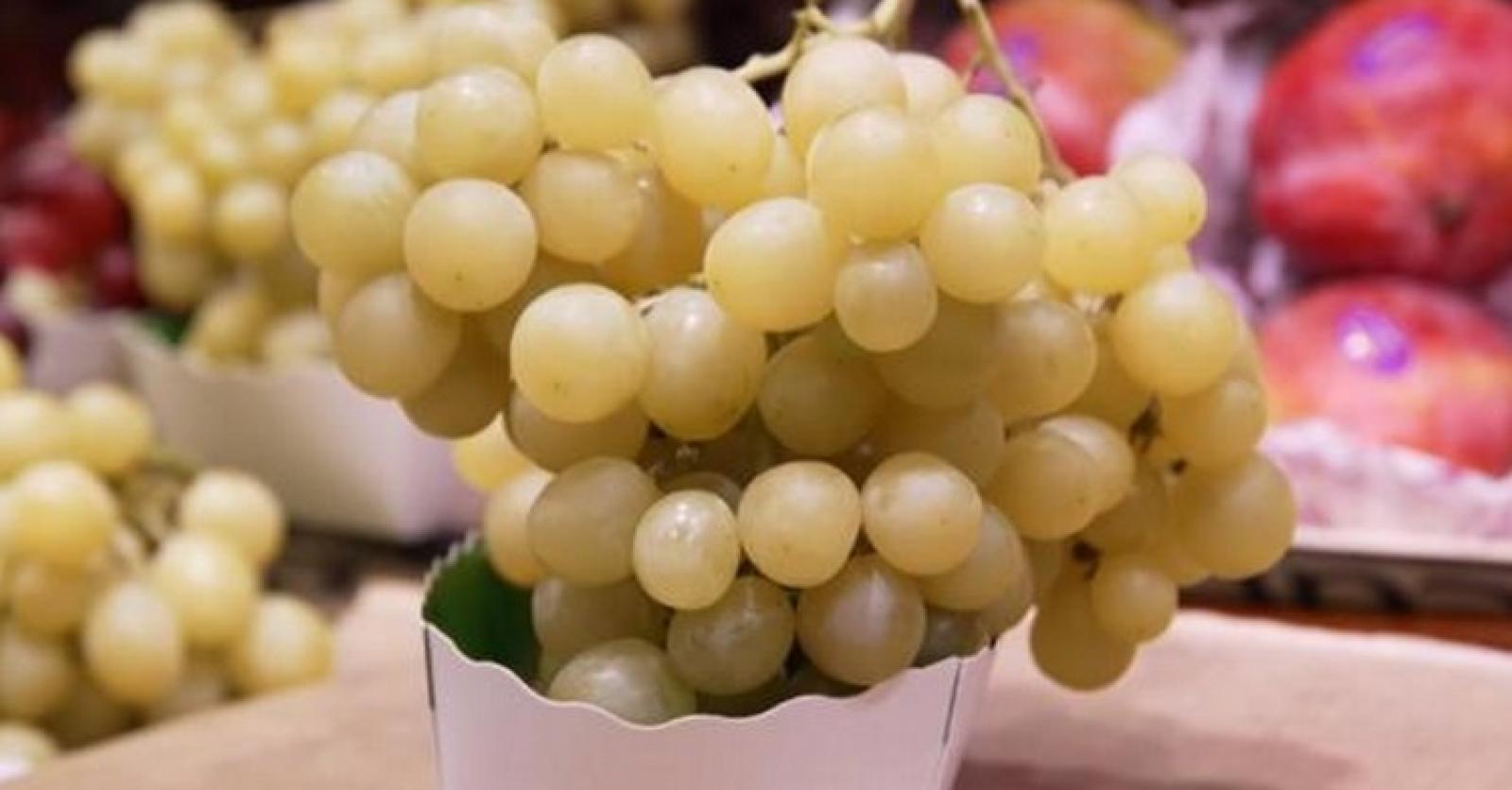 Les raisons du raisin