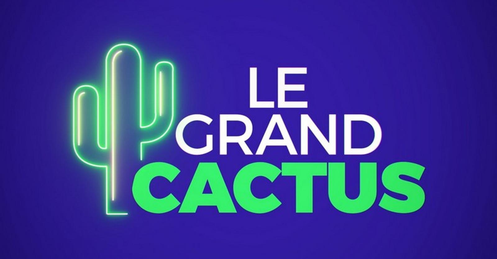 Fabian Le Castel arrête sa collaboration avec «Le Grand cactus»