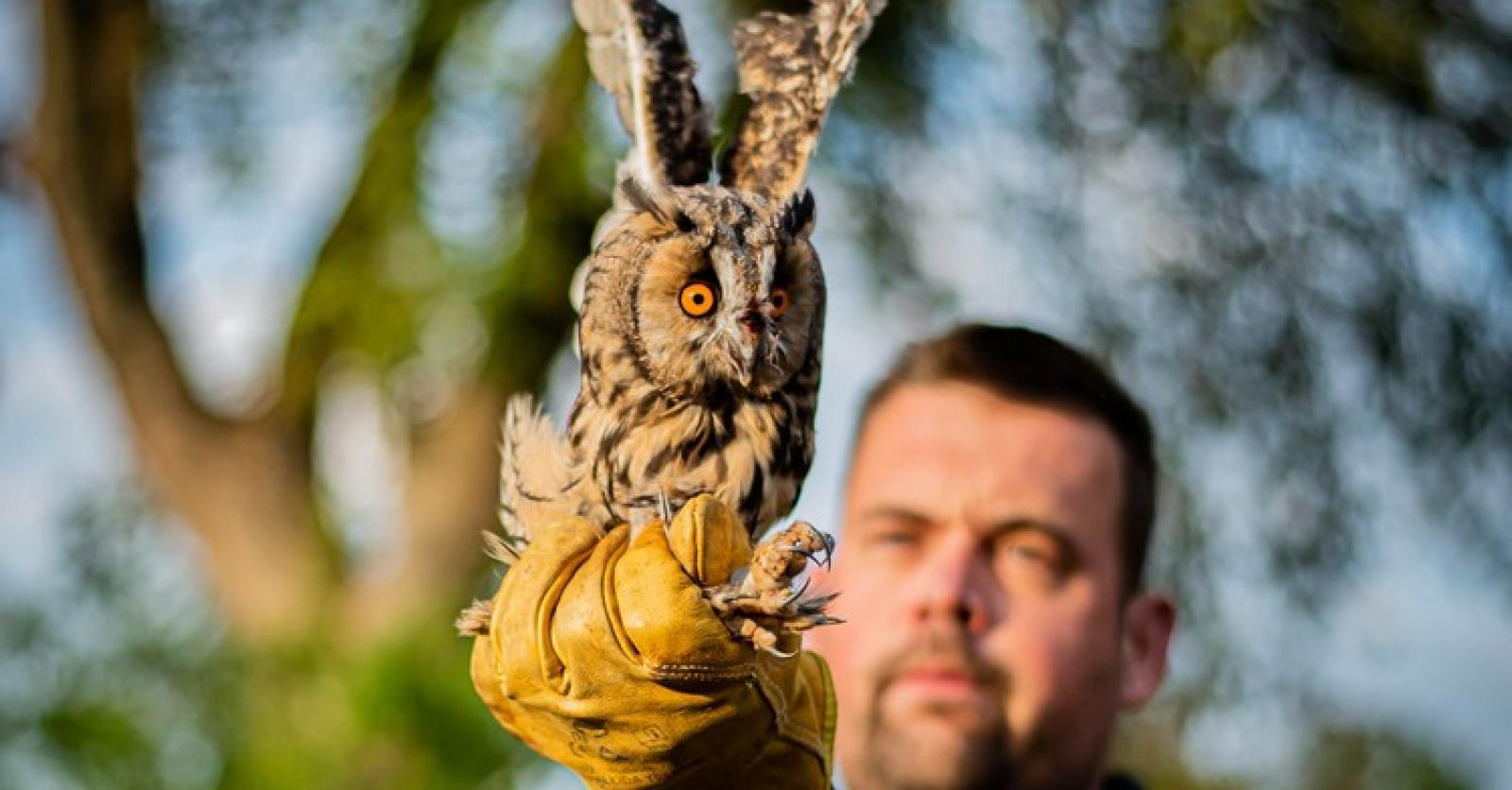 «Animal Rescue Team» (La Une) : «Toute vie mérite d’être sauvée