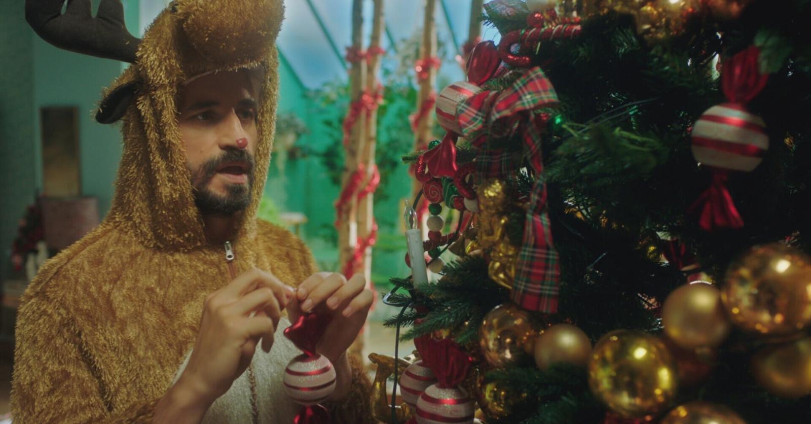 De Hoppers - Télépro