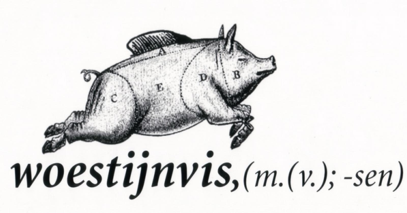 La société de production «Woestijnvis» va débarquer en Wallonie