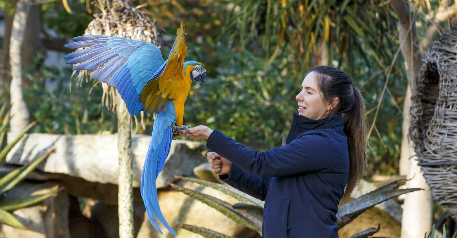 Mega Zoo - Télépro