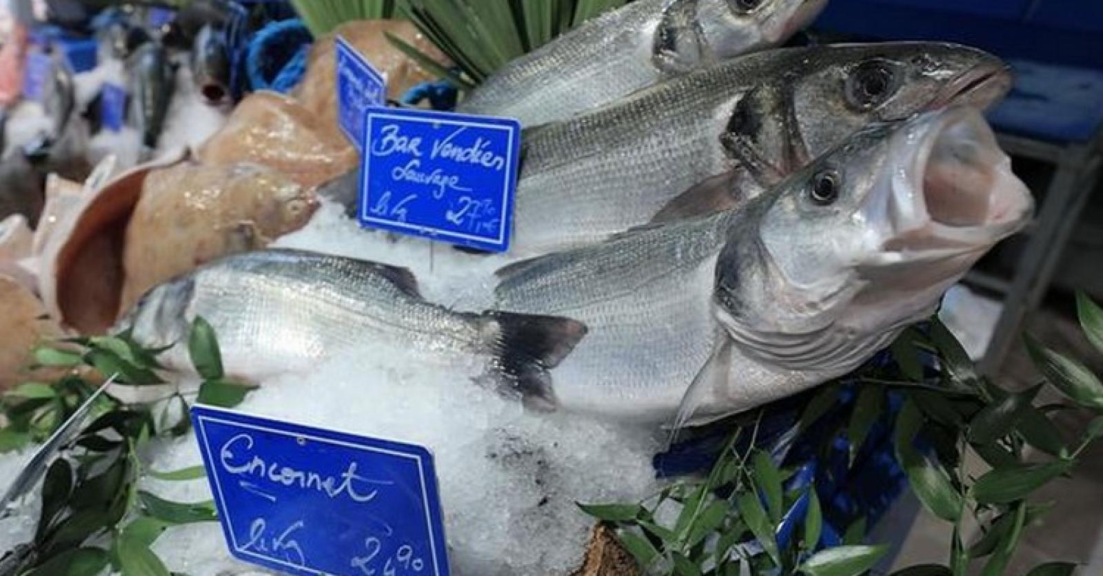 Le poisson : à consommer sans modération