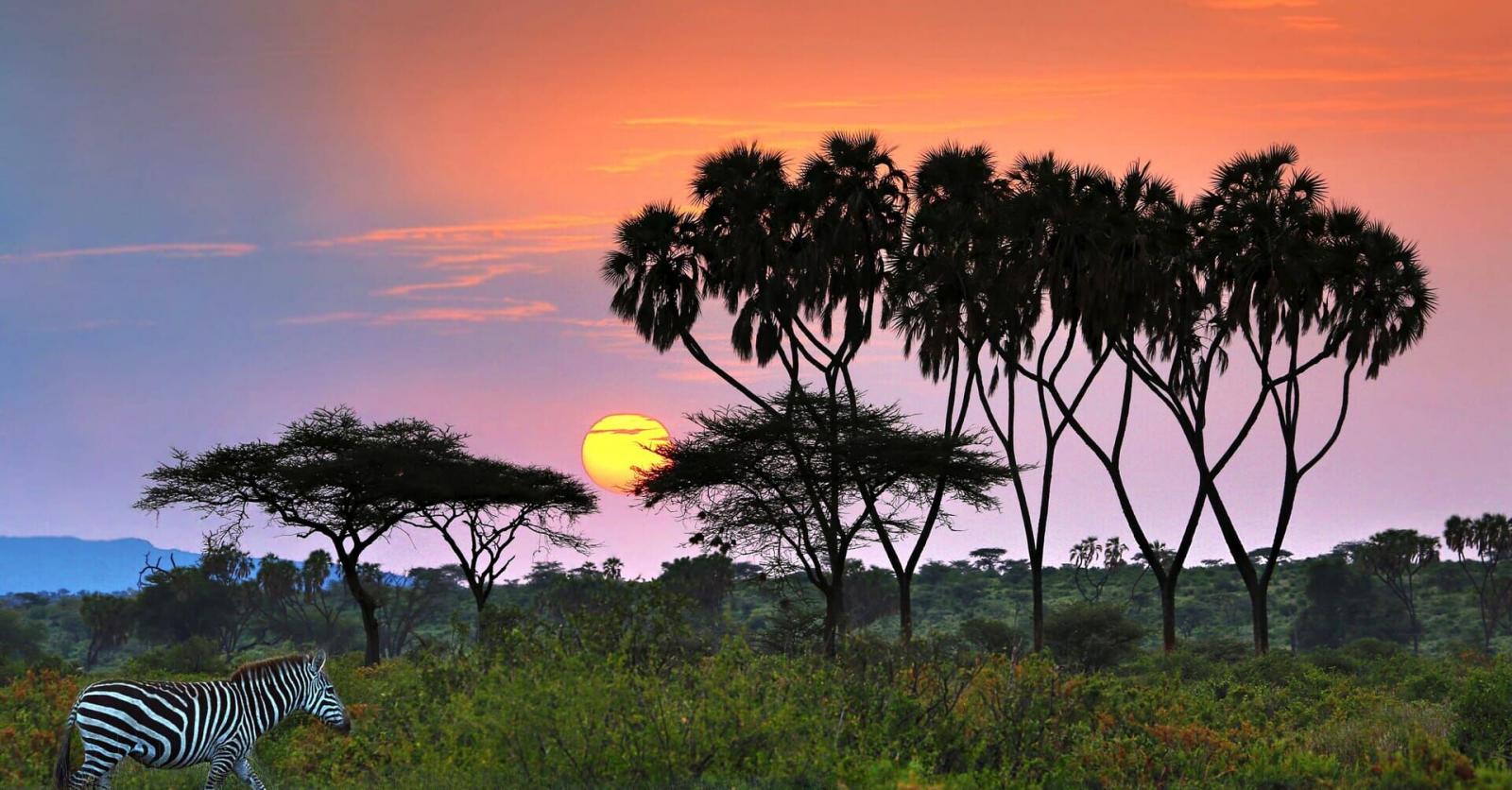 L'Afrik en conte - Télépro