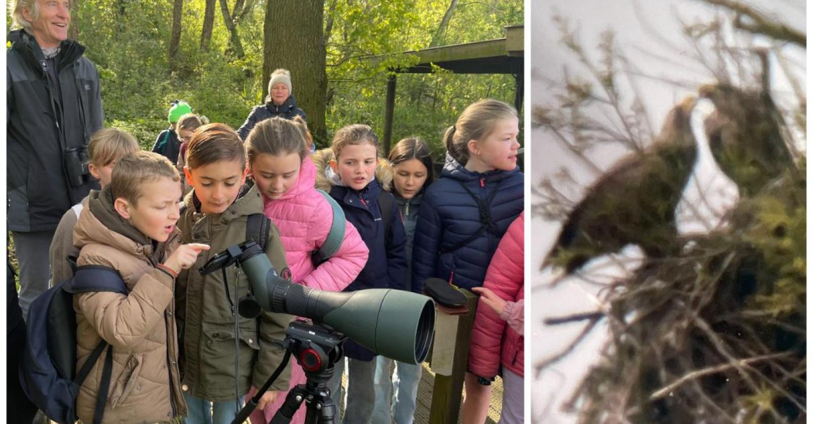Maaike Cafmeyer en Wim Willaert worden meter en peter van de ...