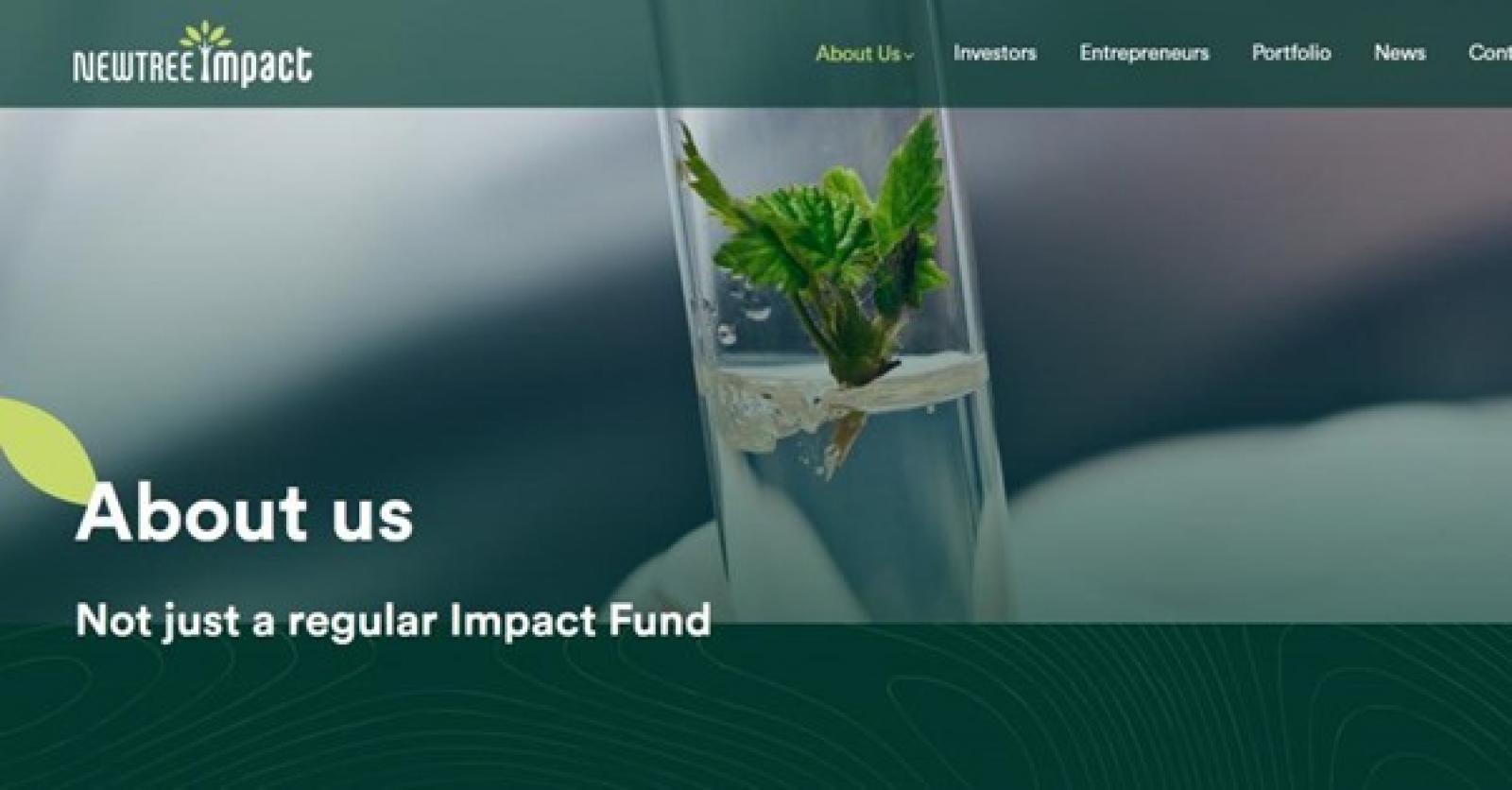 Newtree Impact veut devenir une « entreprise à mission