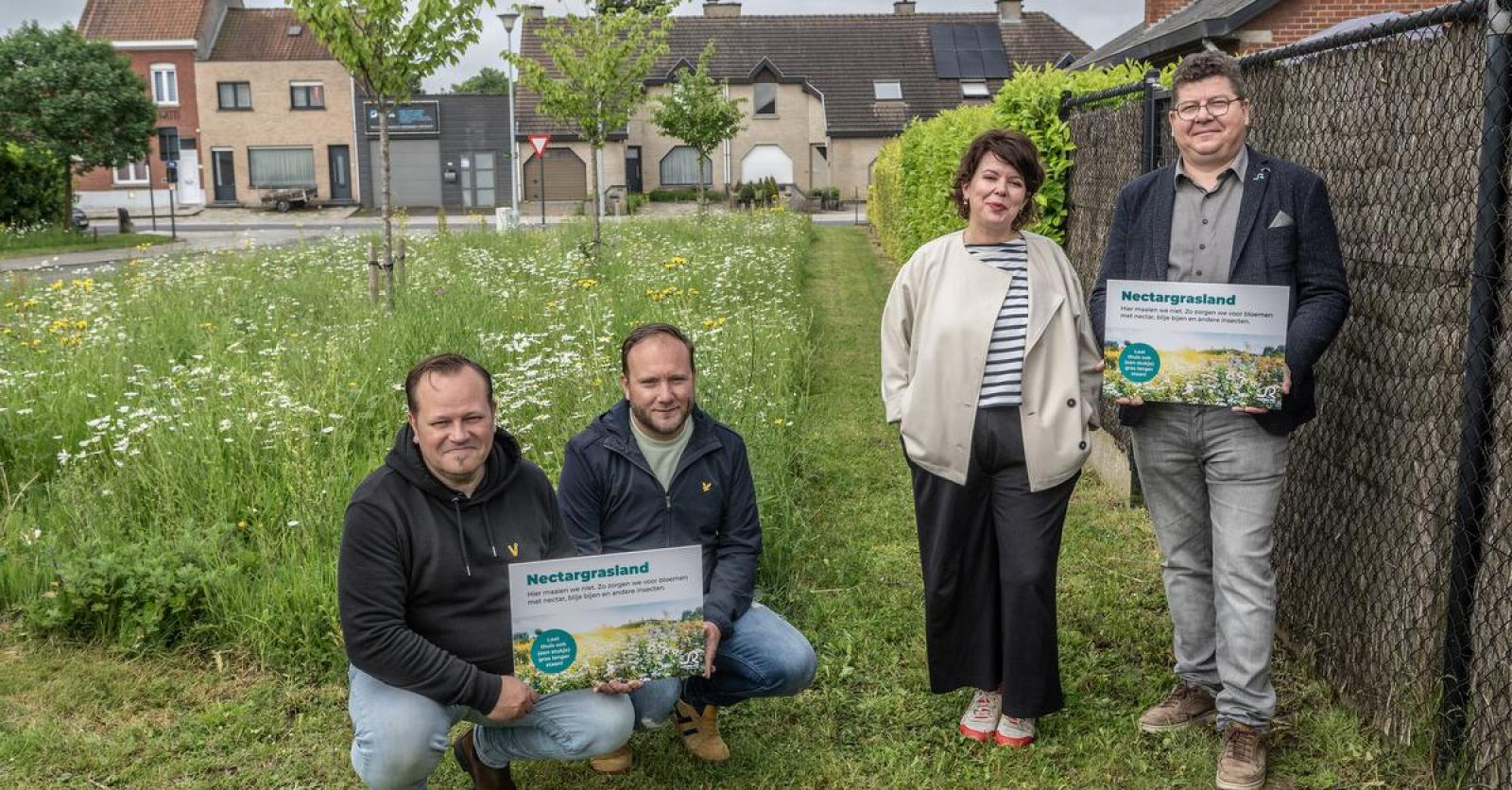 Project Nectarsgrasland verenigt biodiversiteit met schoonheid en ...