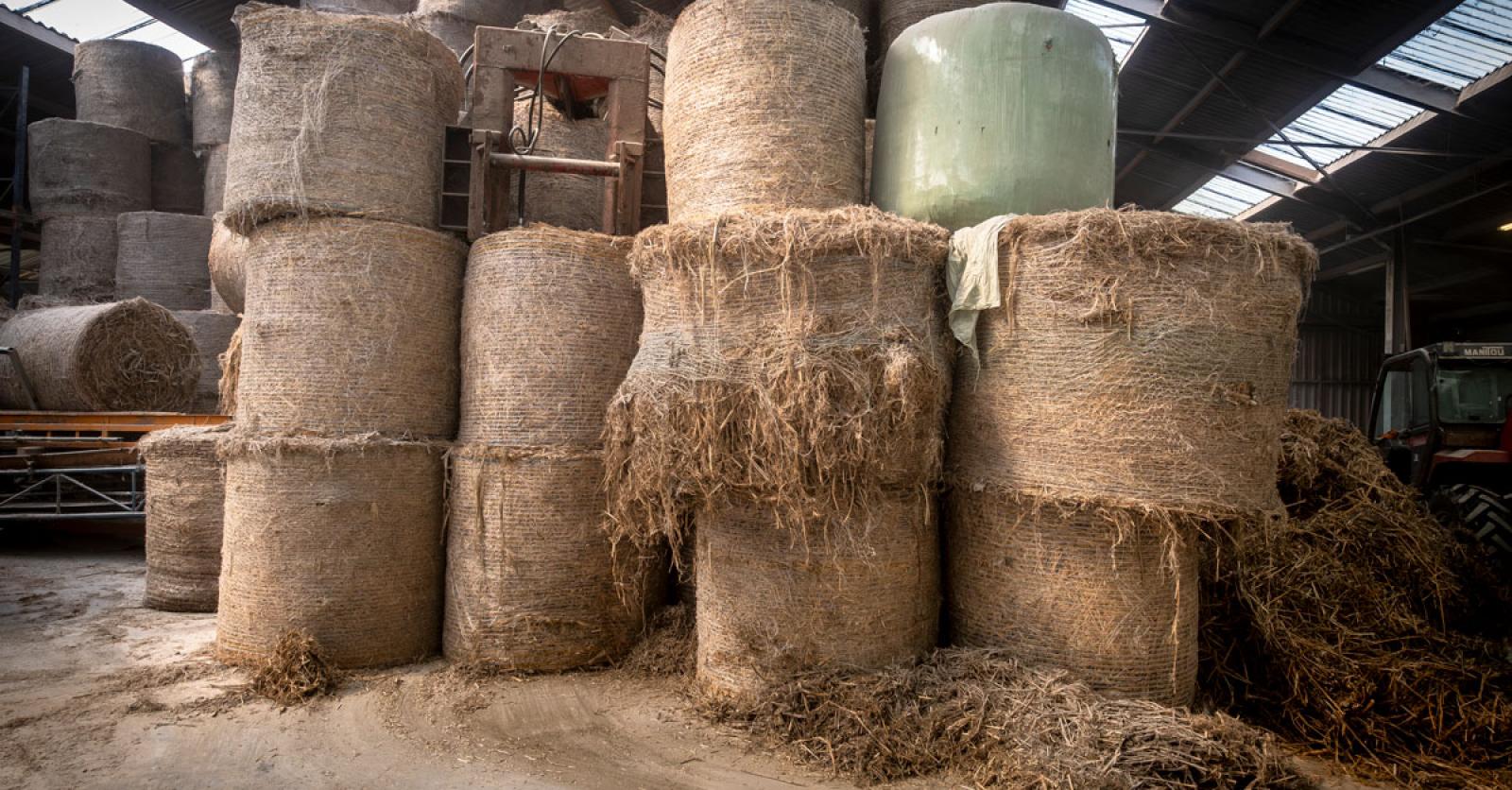 Achter de schermen van de isolatieproducent Exie: ‘Hennep is sterk als ...