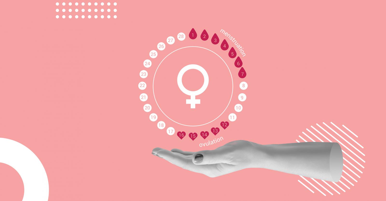 Comment Mieux Adapter Son Mode De Vie à Son Cycle Menstruel