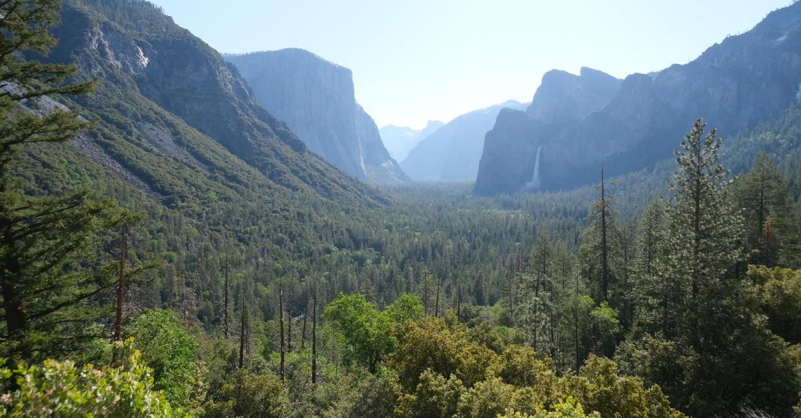 Van dino’s en Super Mario tot watervallen en sequoia’s: kidsproof ...