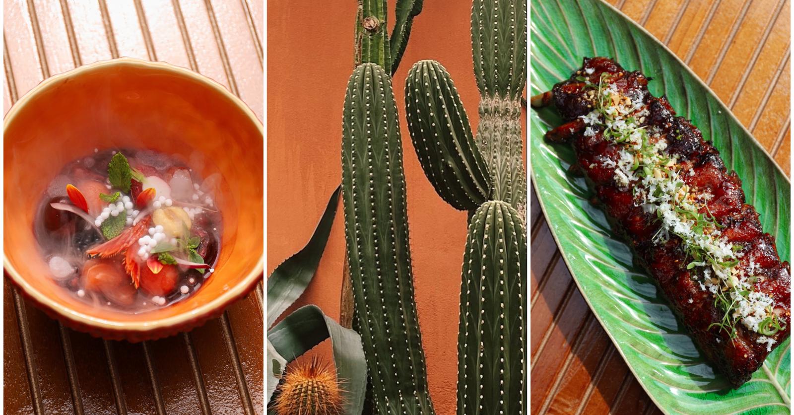 Waterloo: Poncho, ce nouveau resto qui vous fait voyager en Amérique ...