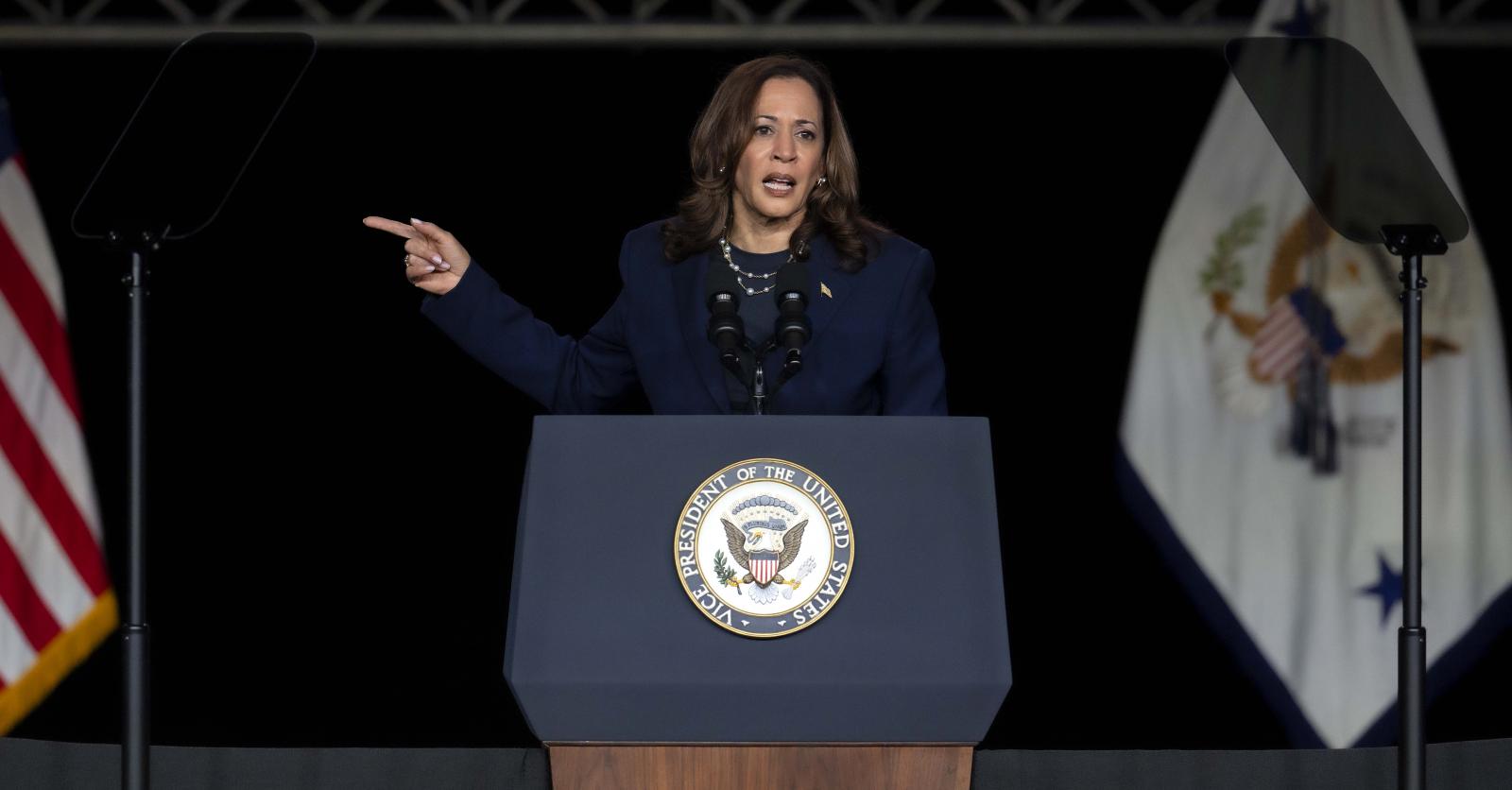 Les démocrates votent pour officialiser la candidature de Kamala Harris ...